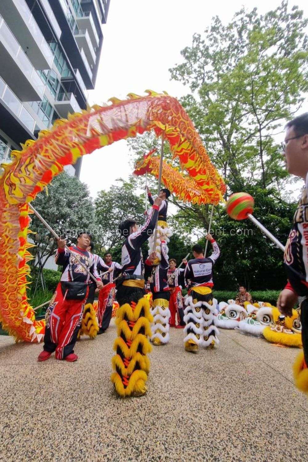 Where to Watch Dragon Dance in Singapore - Entertainment Singapore Company